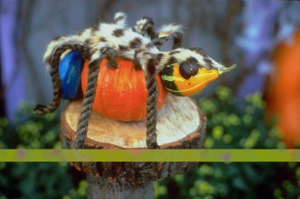 Dječje ideje za rezbarenje bundeva za Halloween – Noć Vještica ...